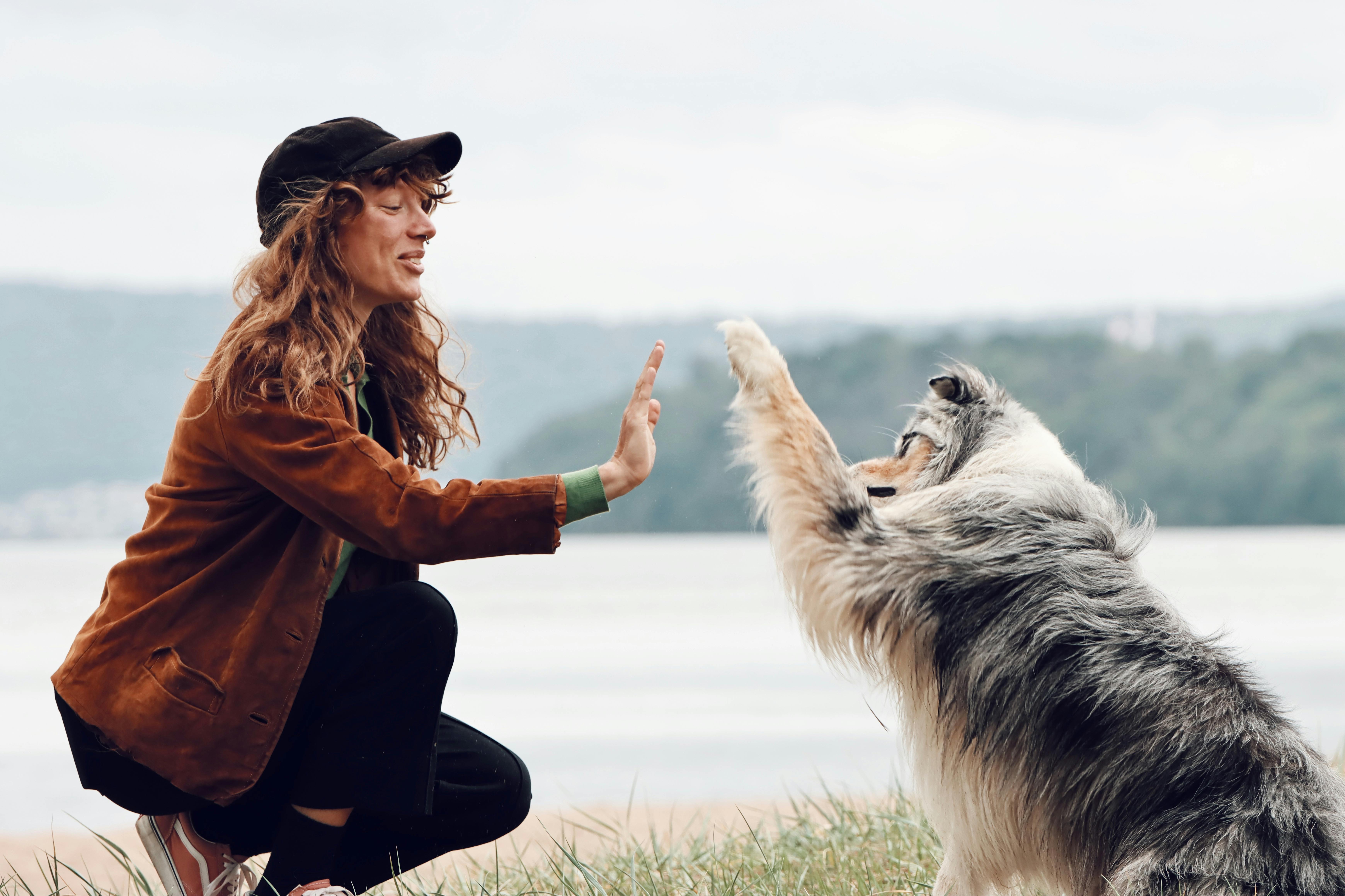 4 Zodiacs Known For Their Loving Nature Toward Pets – Collective World