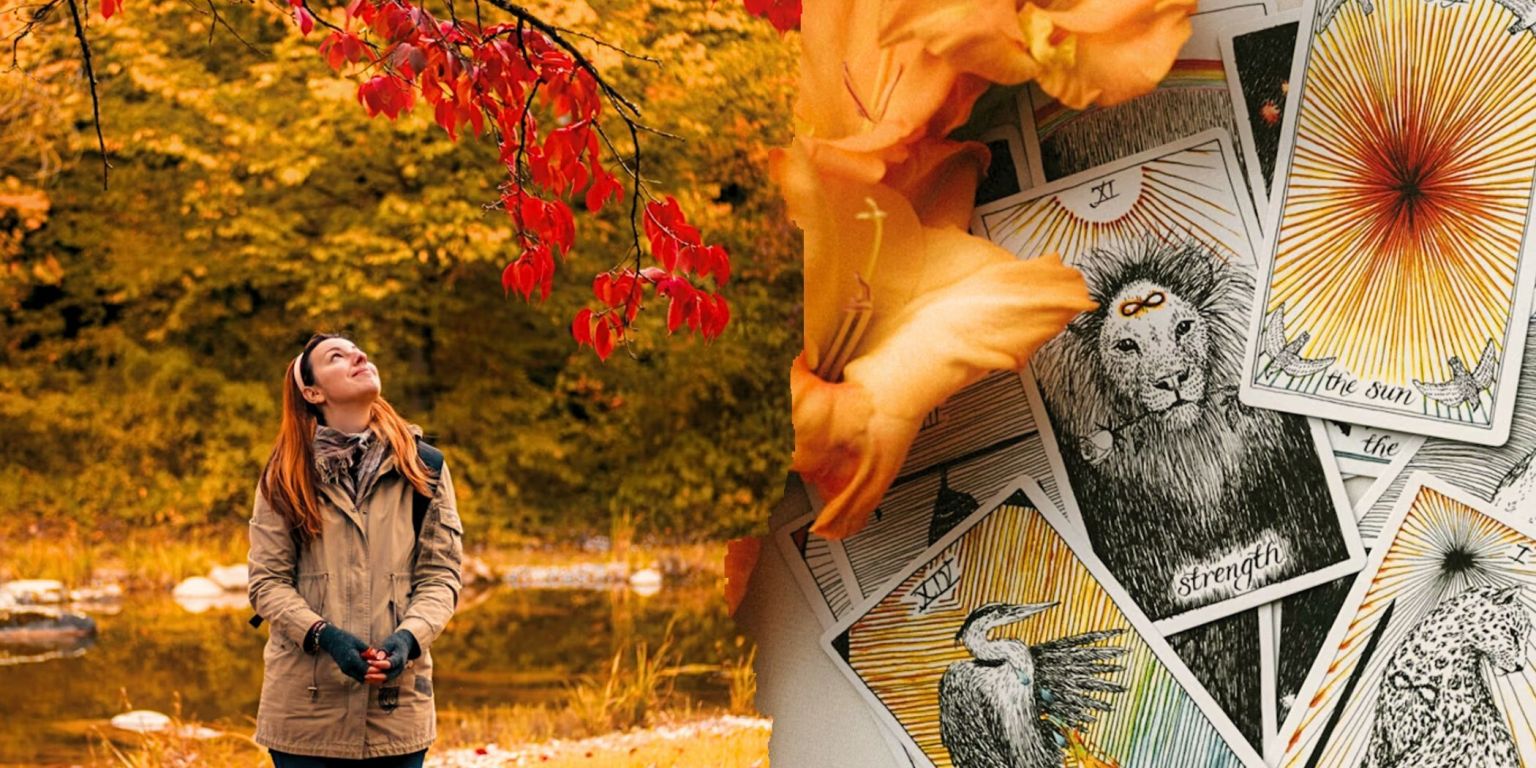 How Your Life Is Bound To Change This Autumn (According To Tarot ...