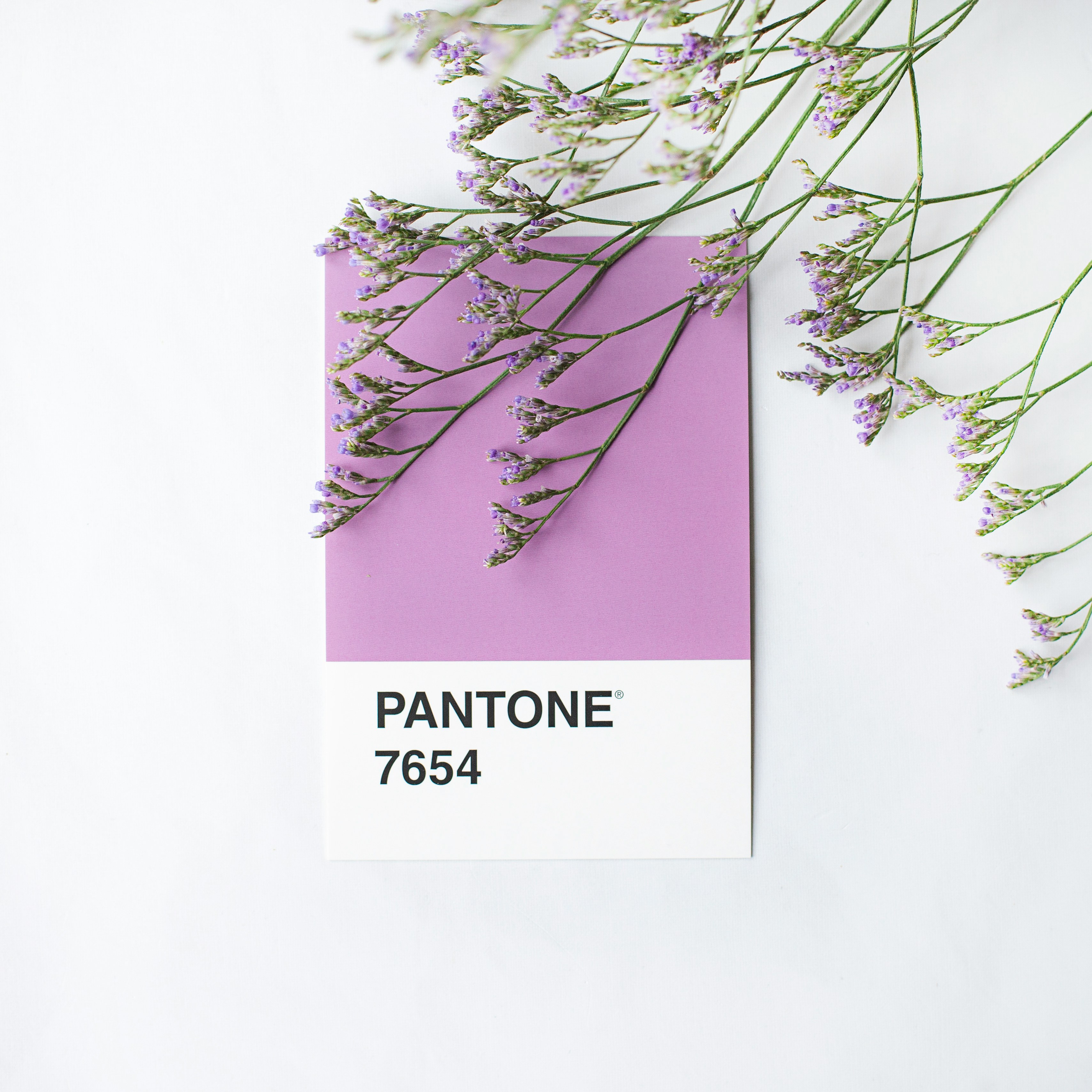 The Pantone Color Of Your Aura (Based On Zodiac Sign) – Collective World